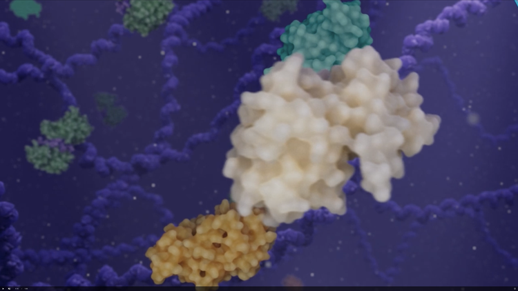 Let's Outdo Cancer: Pfizer's Journey to Uncovering Cancer Treatments Let's Outdo Cancer: Pfizer's Journey to Uncovering Cancer Treatments